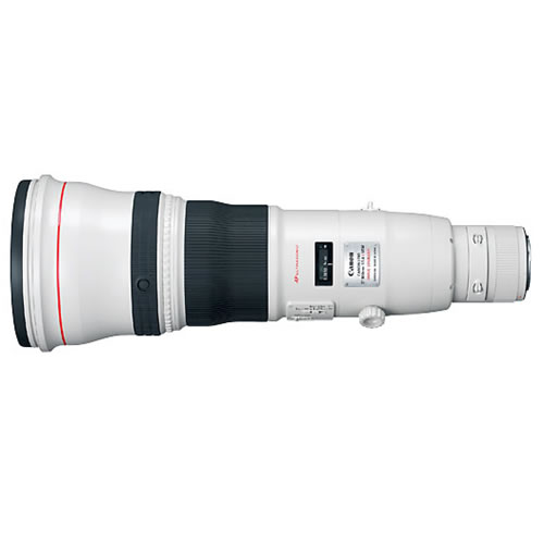 Canon EF 800mm f/5.6L IS USM Telephoto Lens 2746B002 Full-Frame Fixed ...